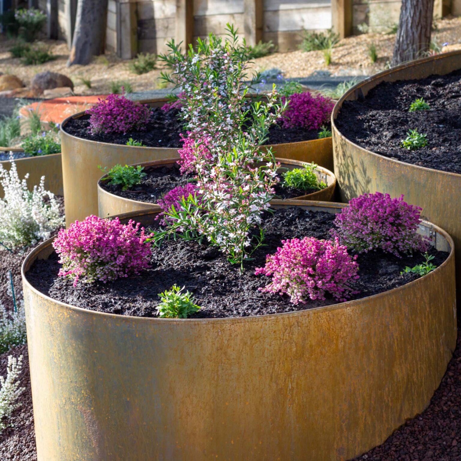 Steel Planters and Garden Edging - SHAPESCAPER