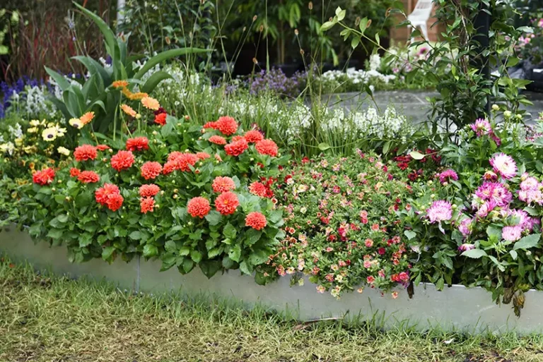 230mm Galvabond Steel Garden Edging - ShapeScaper